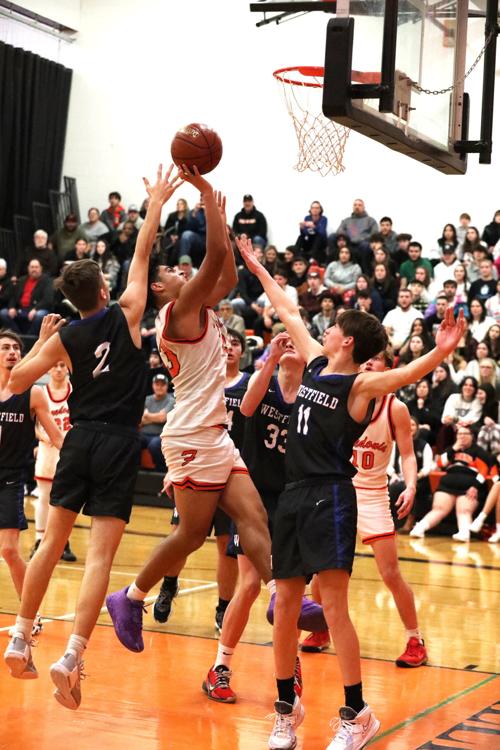 Hahn, White Lead Fredonia To 72-41 Win Over Wolverines | News, Sports ...